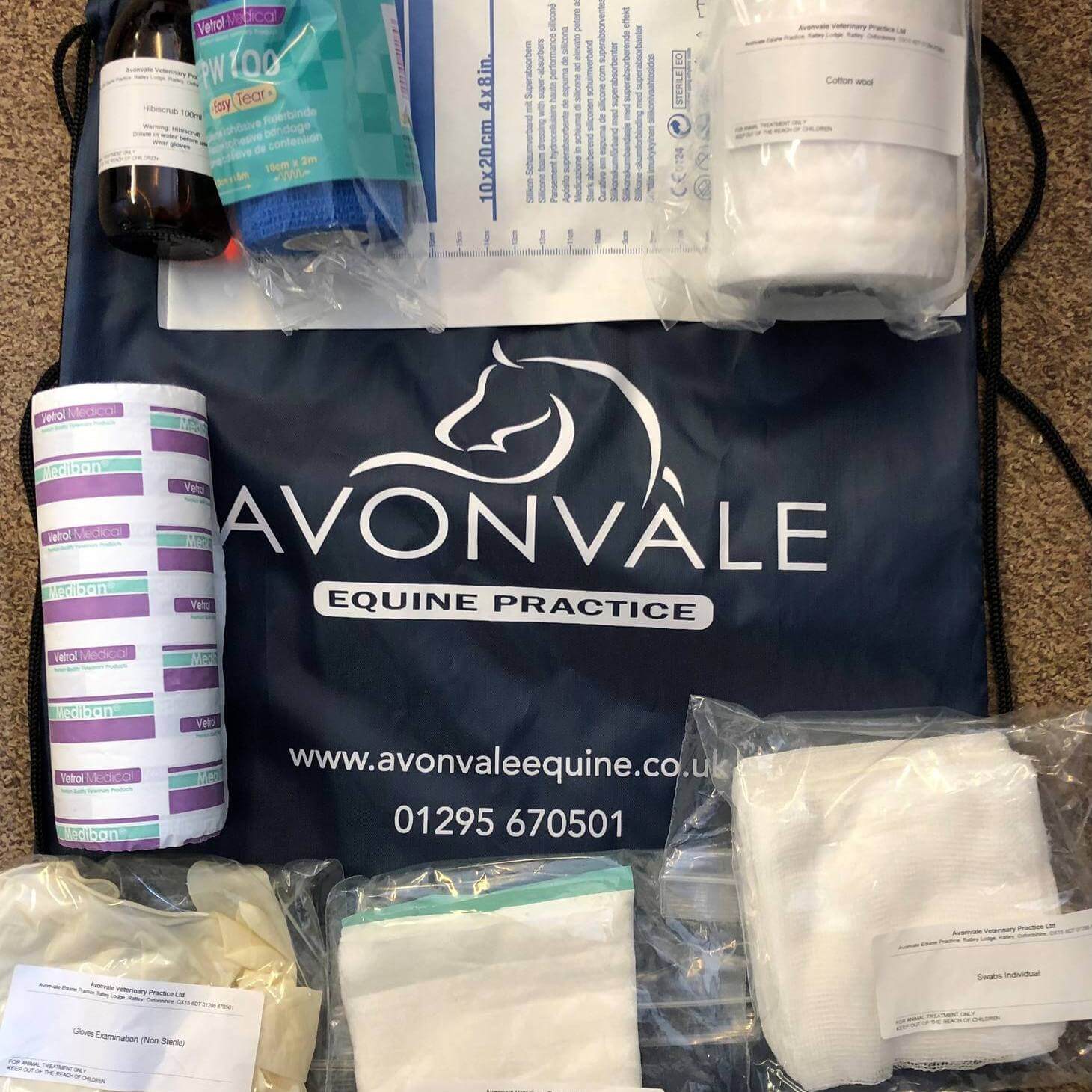 Guide to Basic Equine First Aid | Avonvale Equine Vets